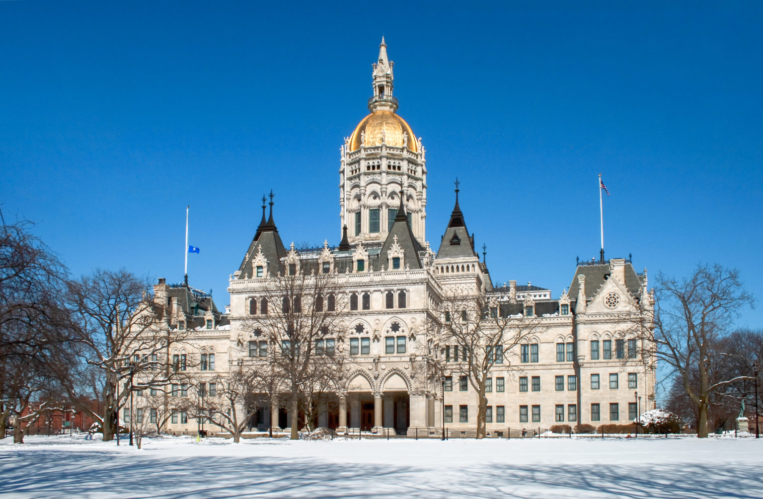 Connecticut Moves Forward with Kratom Ban Despite Majority Public ...